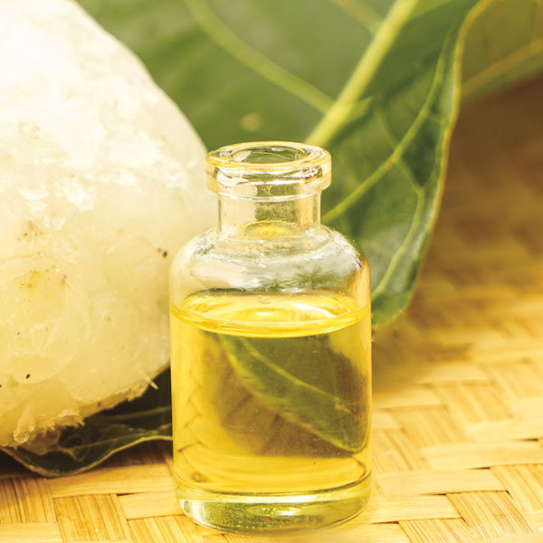 Yoga and Aromatherapy - Elemi Oil | Om Yoga Magazine