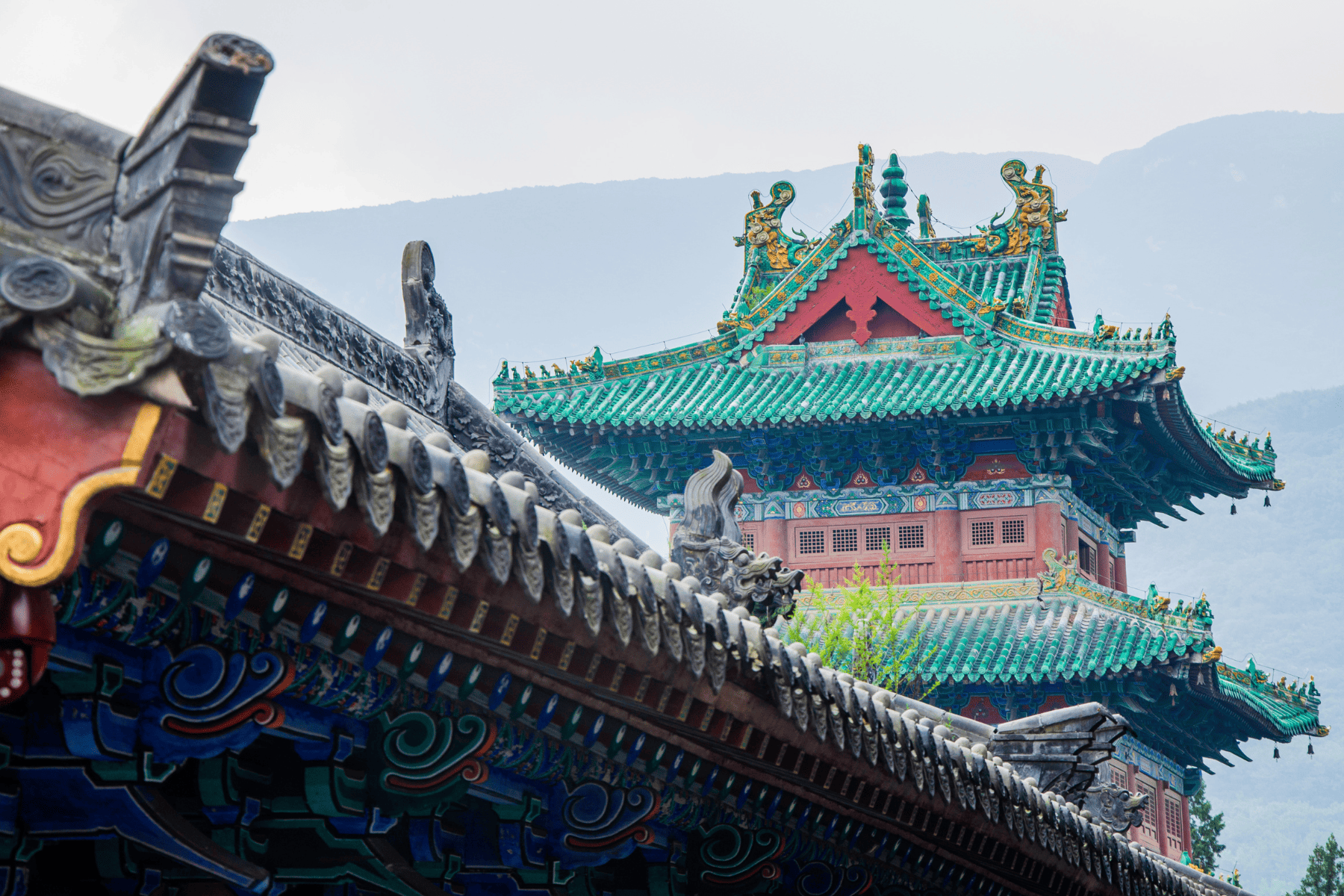 Shaolin Wisdom: 6 Lessons Learned from Mountain Training in China | Om ...